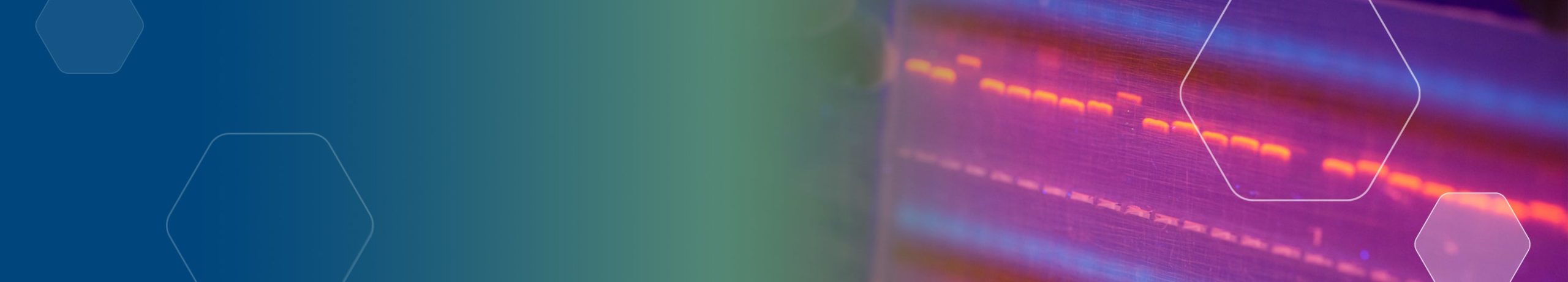 ARCUS Genome Editing - Precision BioSciences